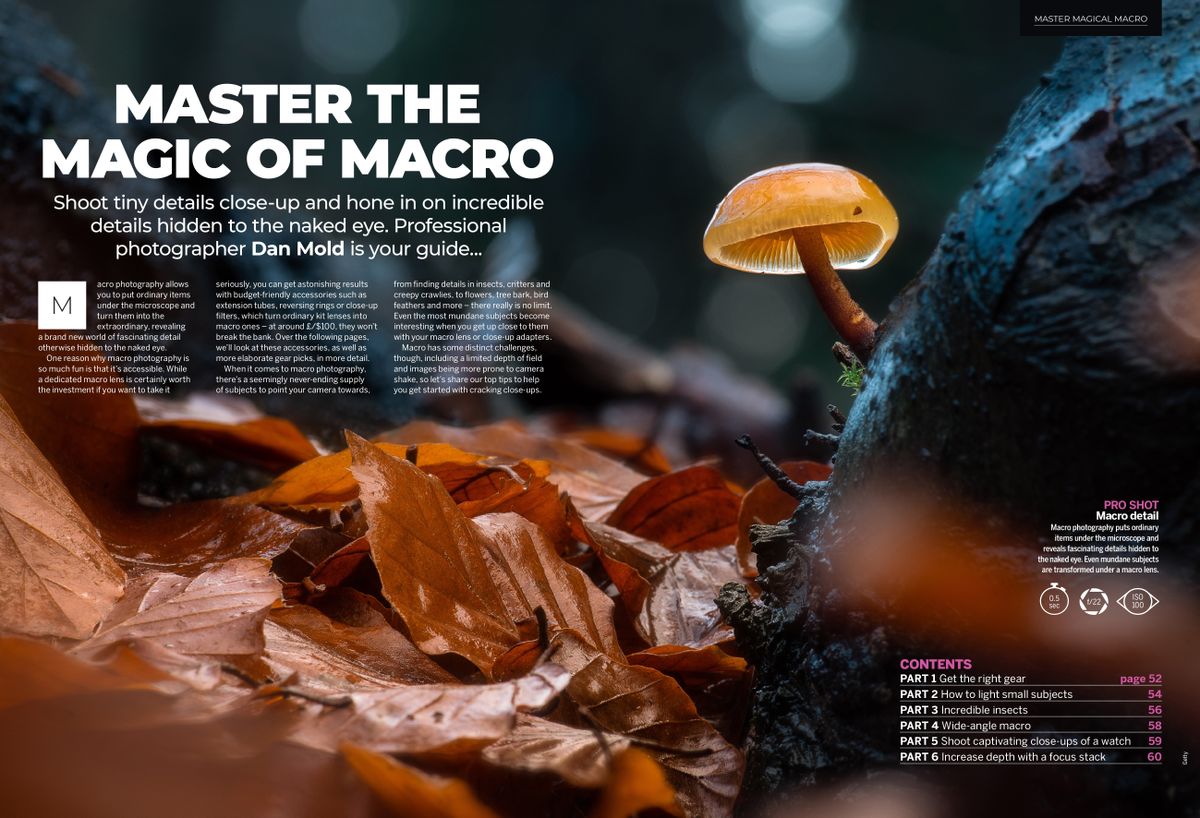 Get 14 bonus gifts with the November 2024 issue of Digital Camera ...