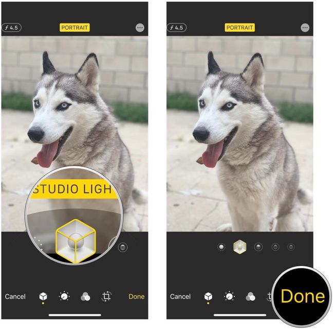 How to use Portrait mode and Portrait Lighting on iPhone | iMore
