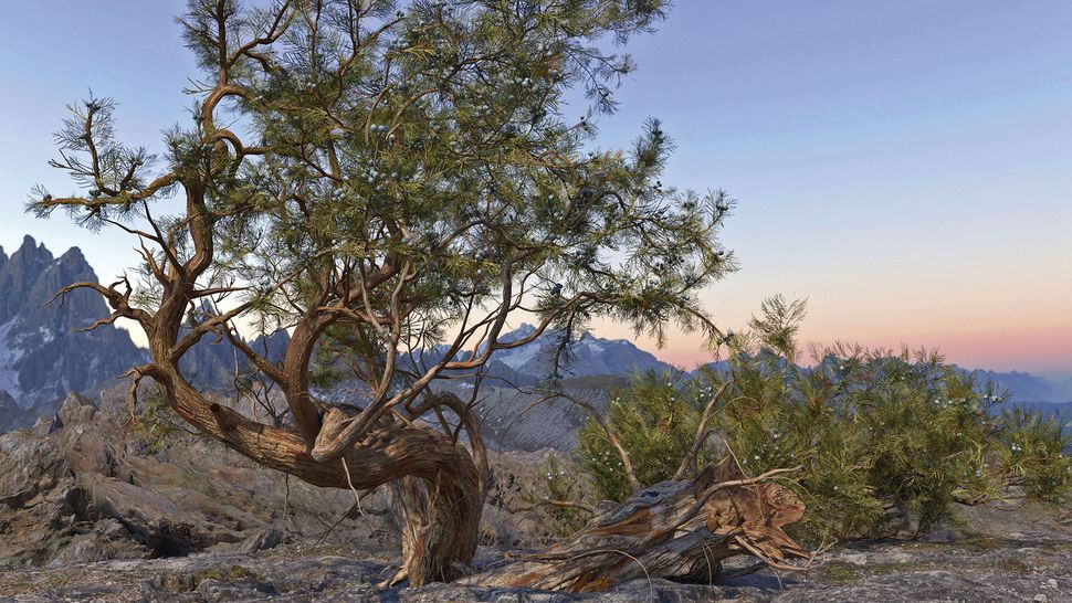 Review: SpeedTree Cinema 8 | Creative Bloq