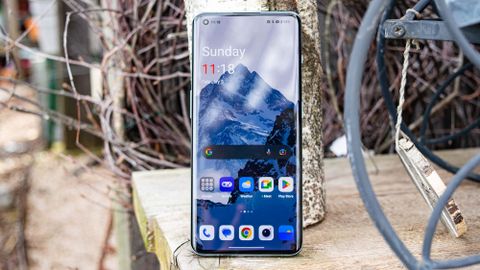 How to identify plants on Android | Tom's Guide