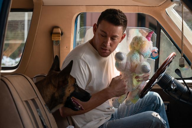 Dog — release date, trailer, and all we know about the movie | What to ...