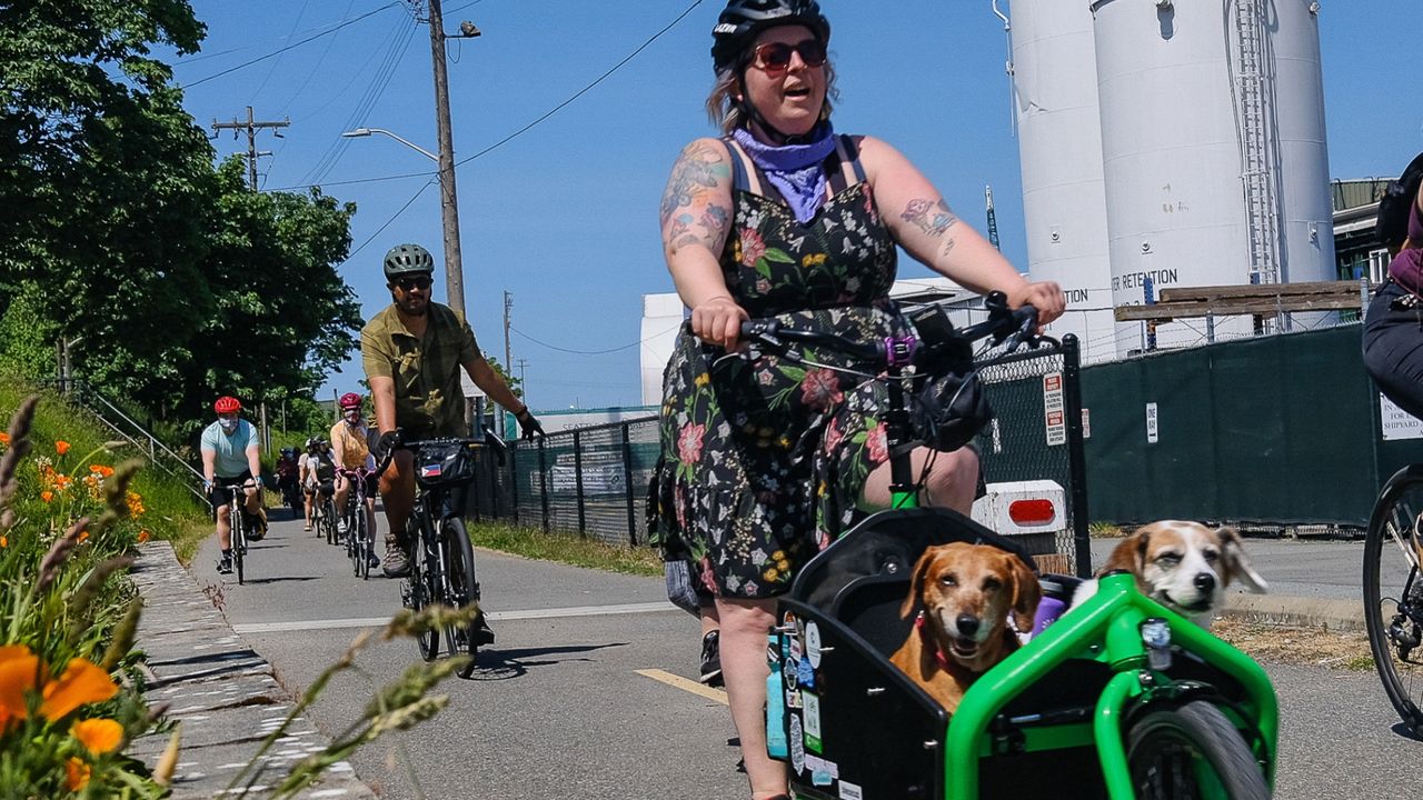 How I turned a pandemic dog adoption into a cargo bike adventure — and ...