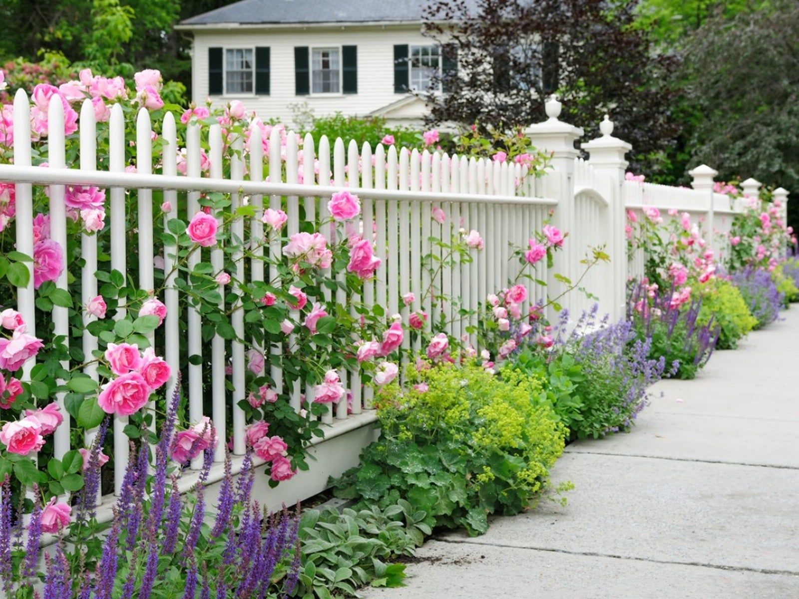 1920s Design Trends In The Garde | Gardening Know How