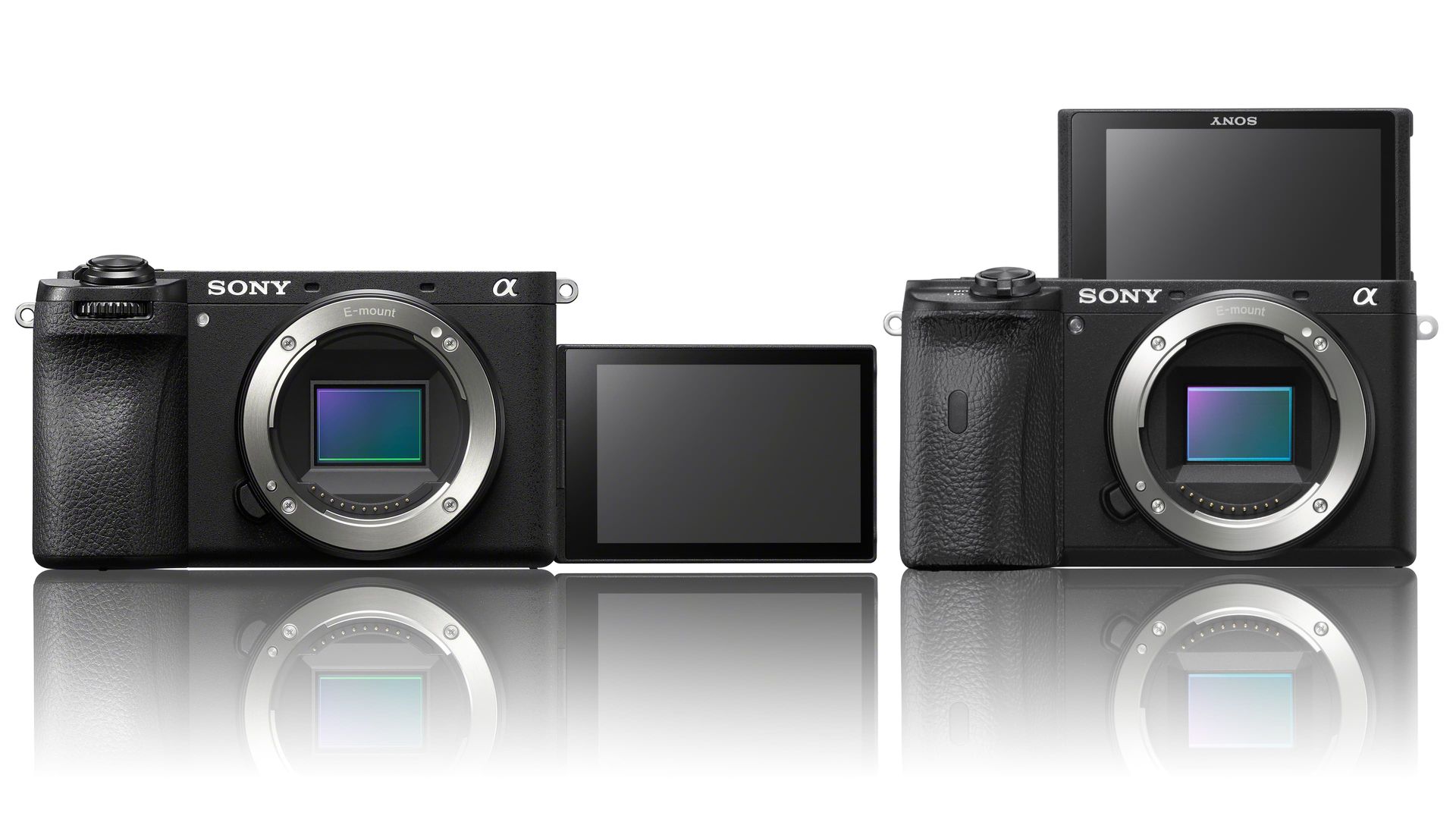Sony A6700 vs A6600 | Digital Camera World