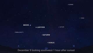 Venus shines at its highest in the night sky this week. How to see it ...