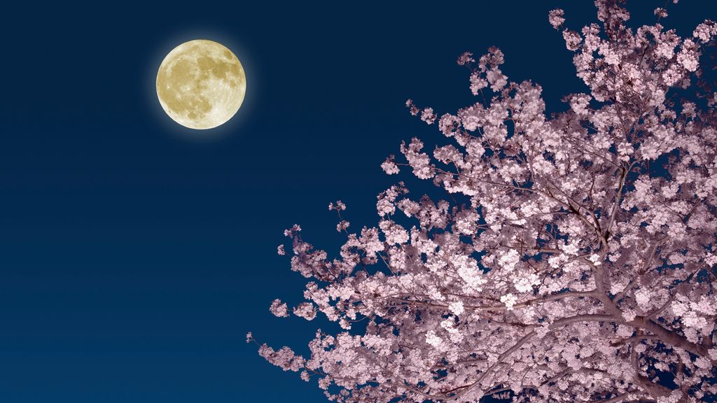 How to catch the full 'Pink Moon' in April followed by a 'Blue Moon' in ...