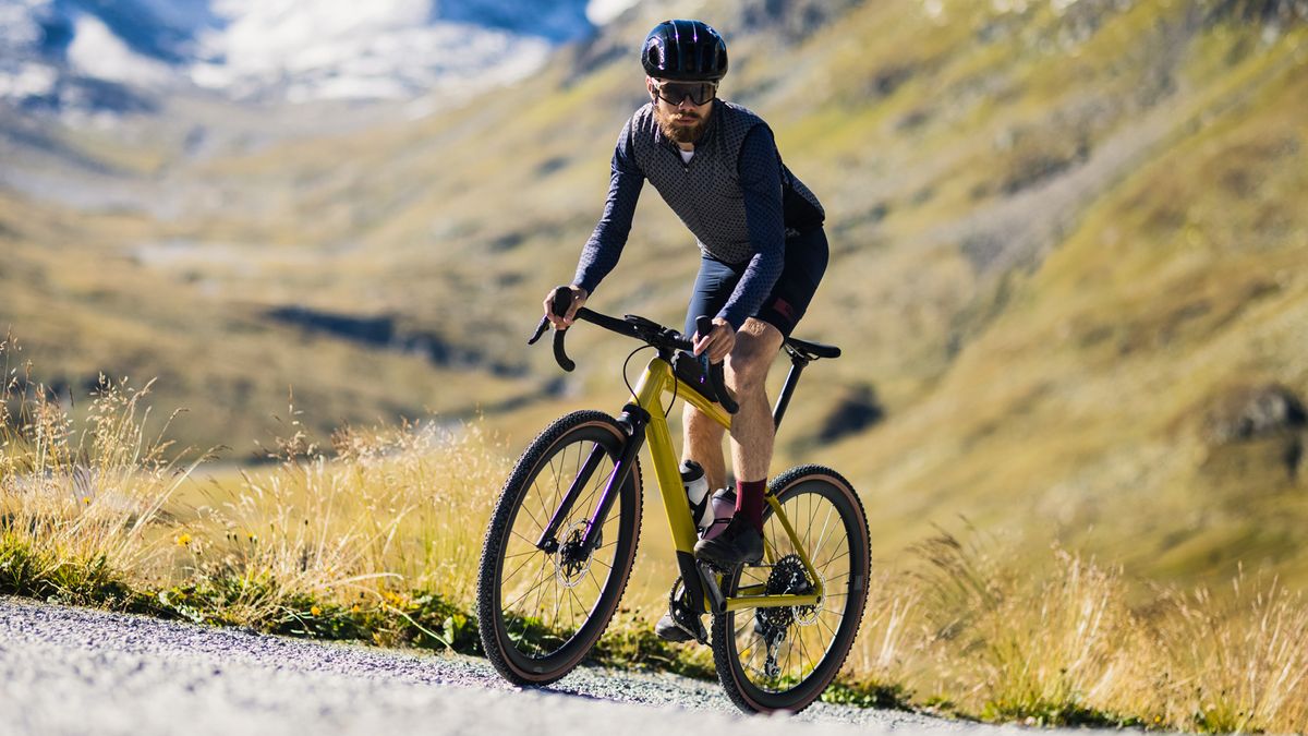 Best gravel frameset store
