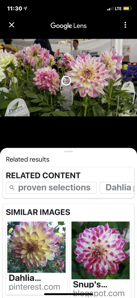 How to Use Google Photos | Tom's Guide