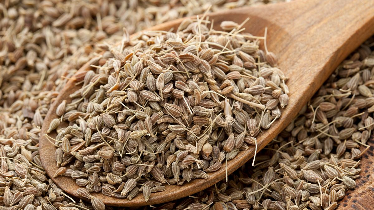 What spices can dogs eat? A vet weighs in | PetsRadar