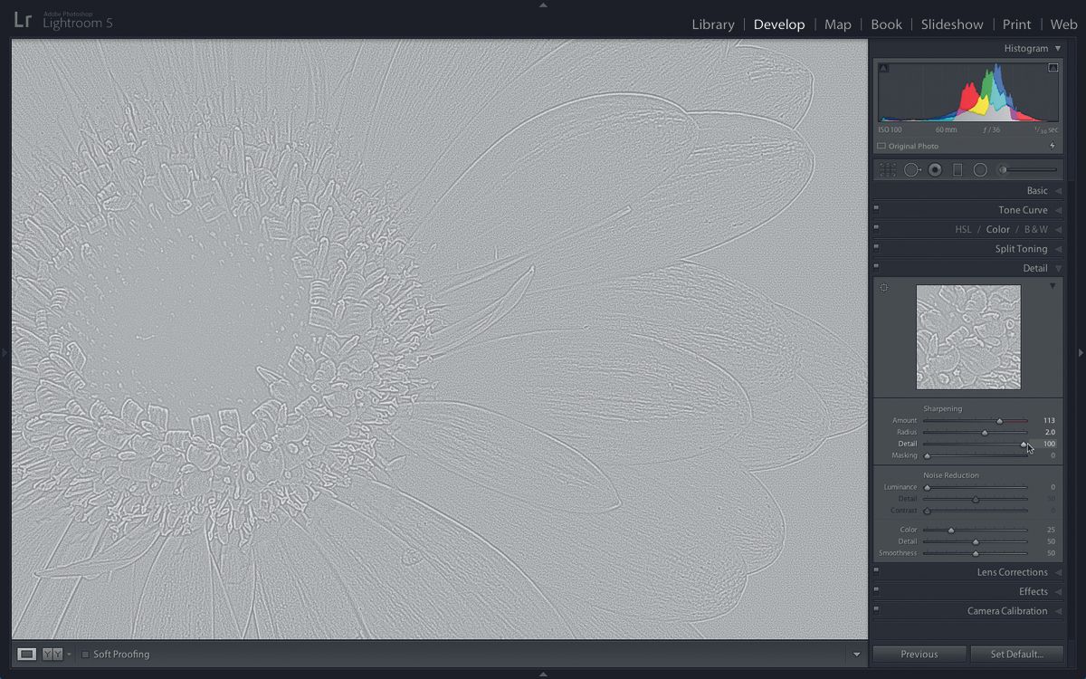 How to sharpen images like a pro using Lightroom | Digital Camera World