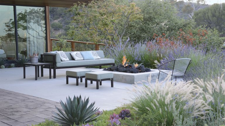 Dry gardens: how to design a drought-tolerant backyard | Gardeningetc