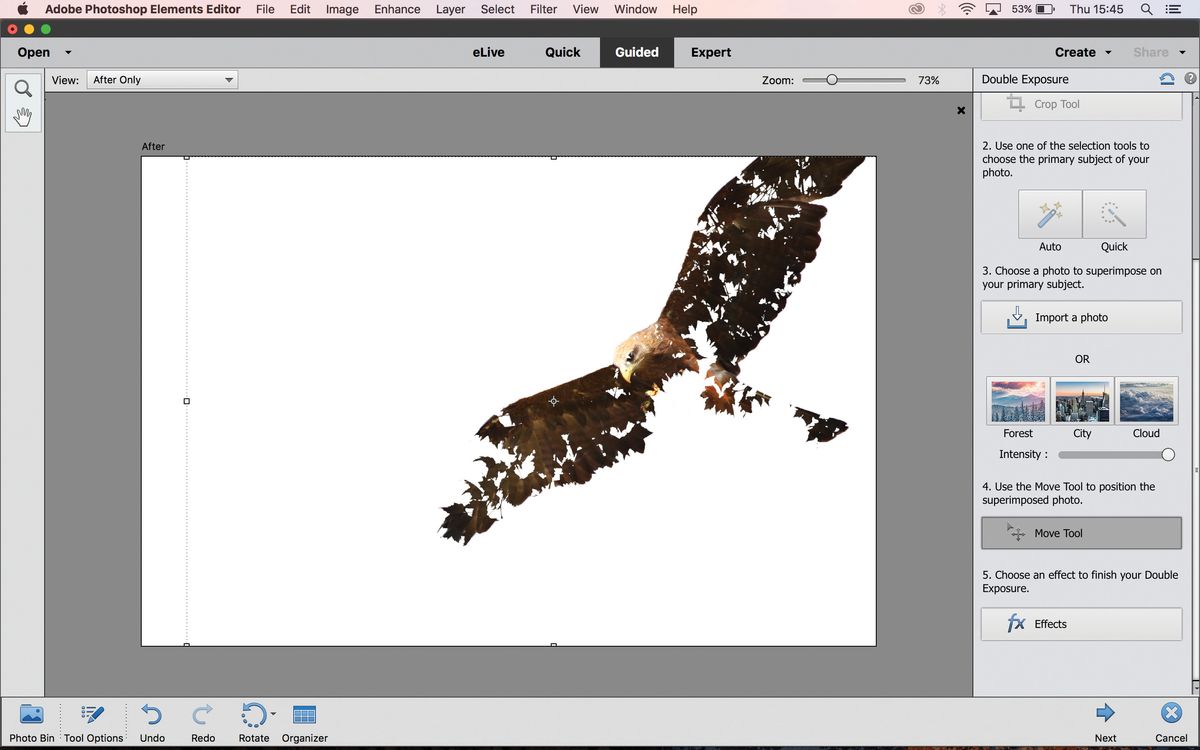 How to create a double exposure in Photoshop Elements | Digital Camera ...