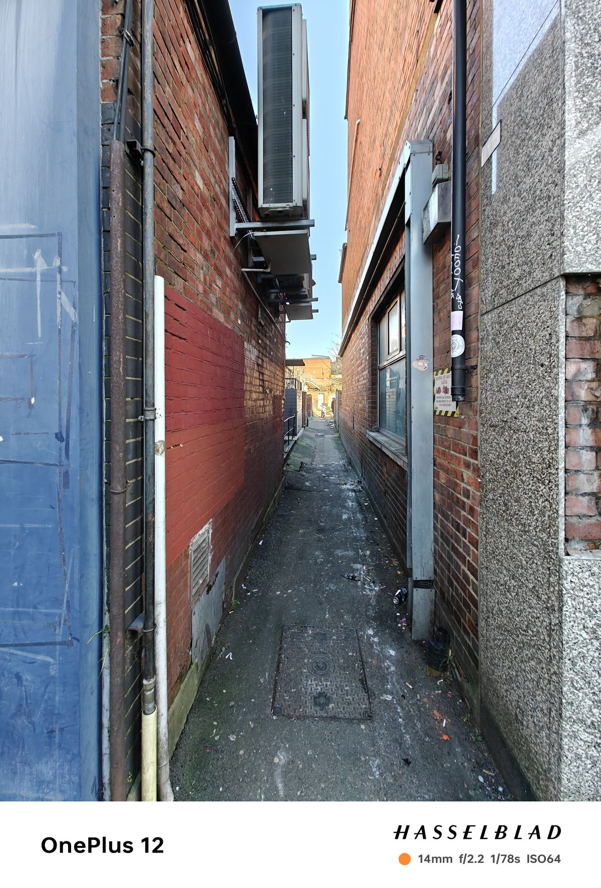 OnePlus 12 review: a Hasselblad-tuned camera and confusing pricing ...