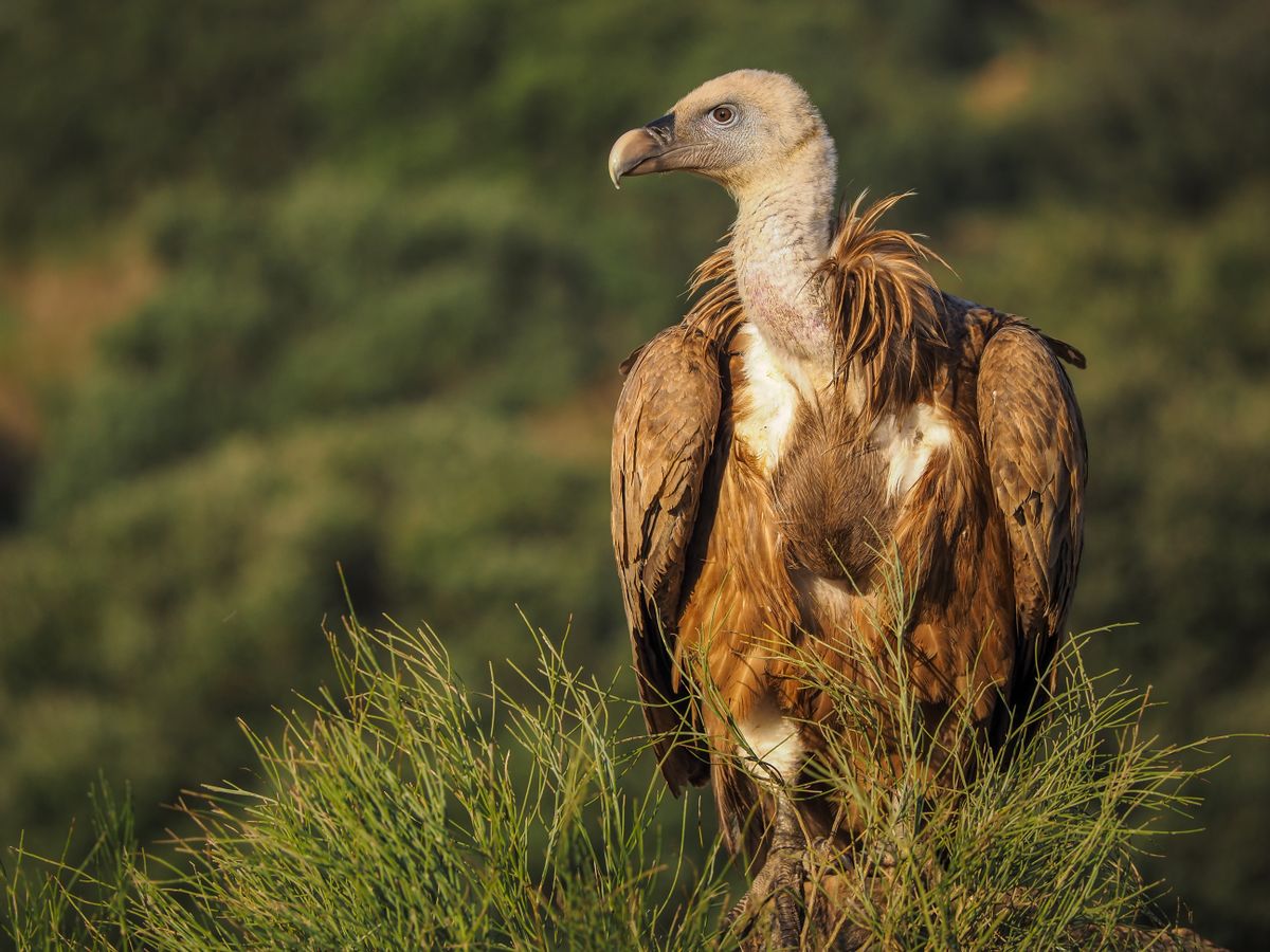 OM System OM-1 review | Live Science