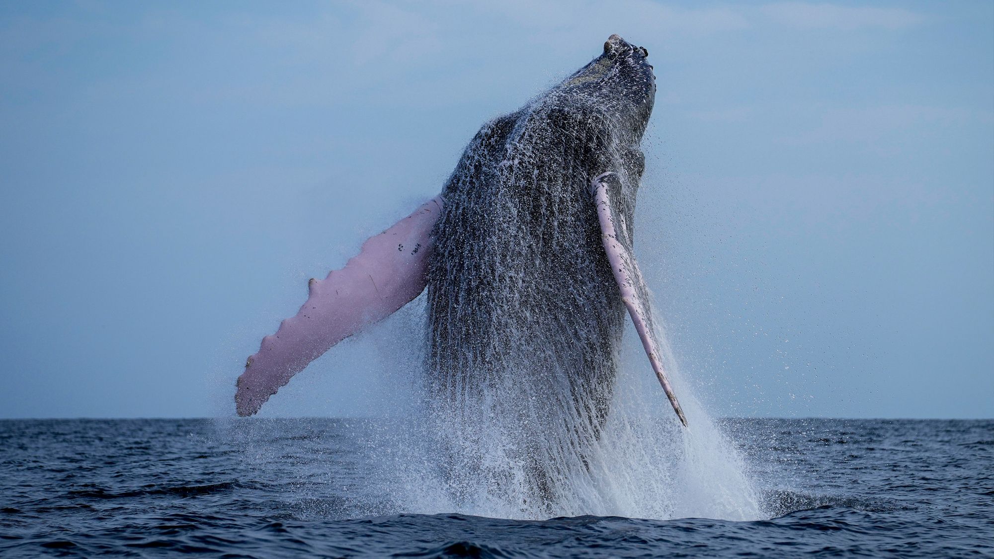 The week's best photos | The Week