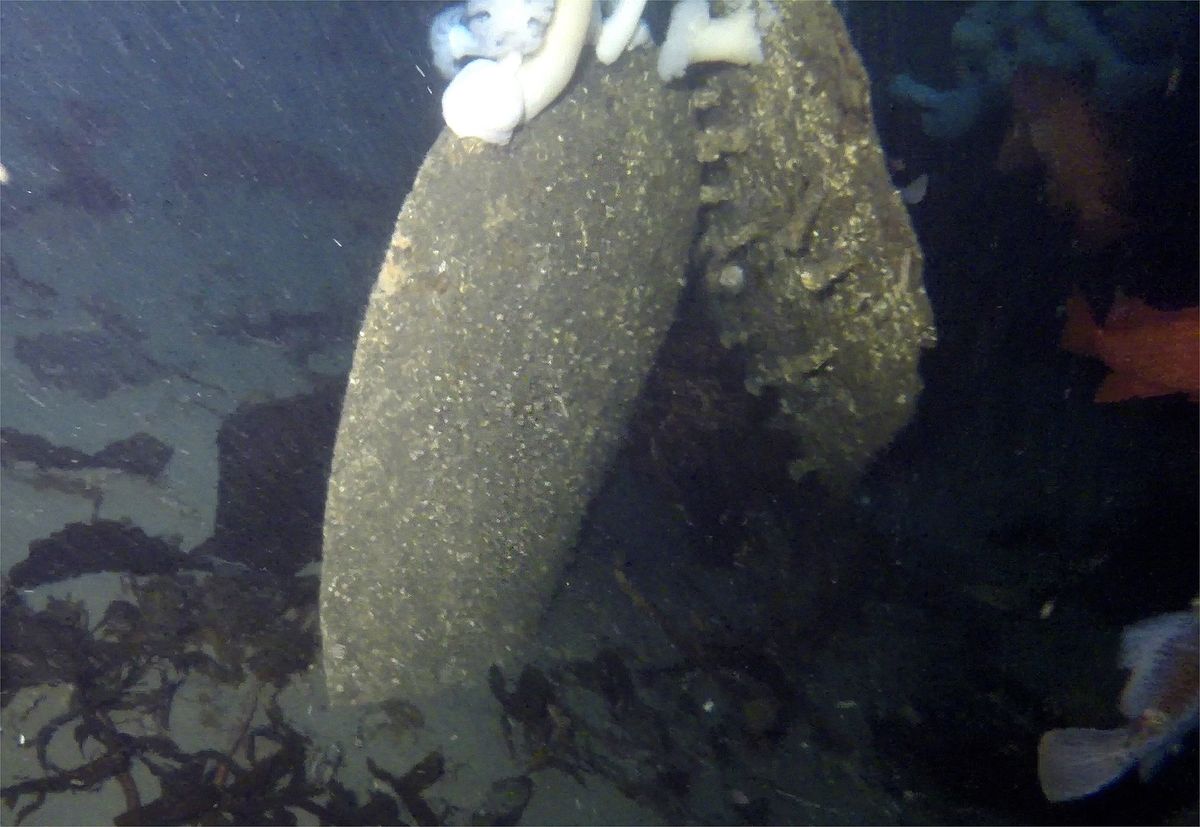 In Photos: Century-Old Sunken Ship Found | Live Science