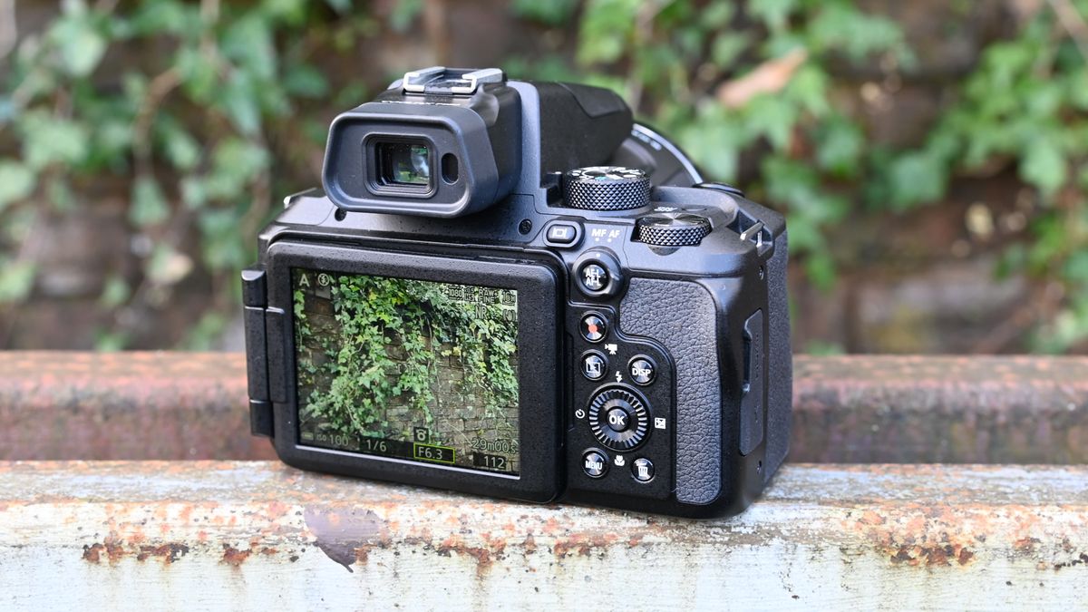 Nikon P950 review | TechRadar