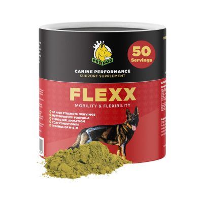 We tested the best joint supplements for dogs 2025 | PetsRadar