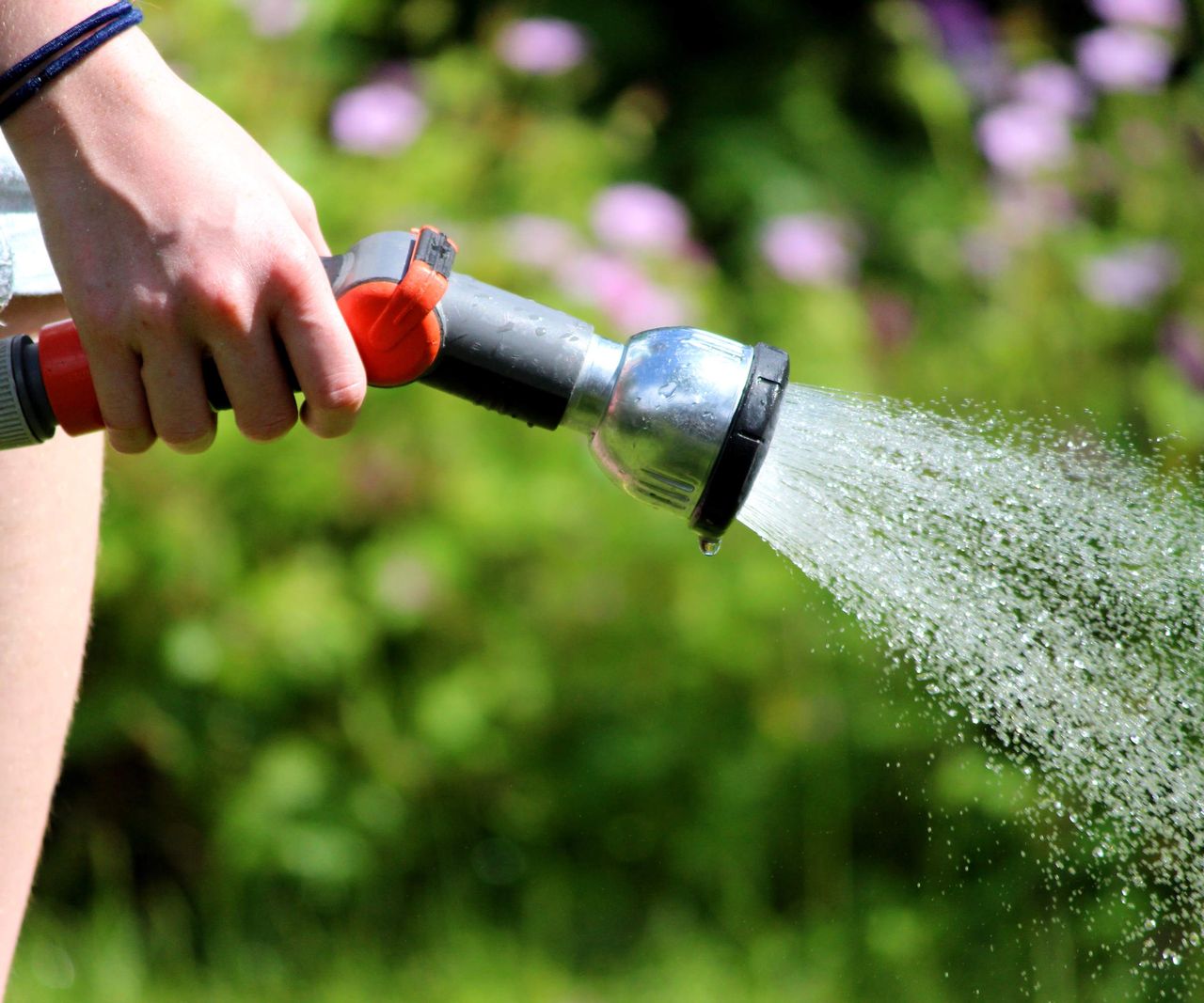 Deep watering: how to have strong, healthy plants | Homes and Gardens