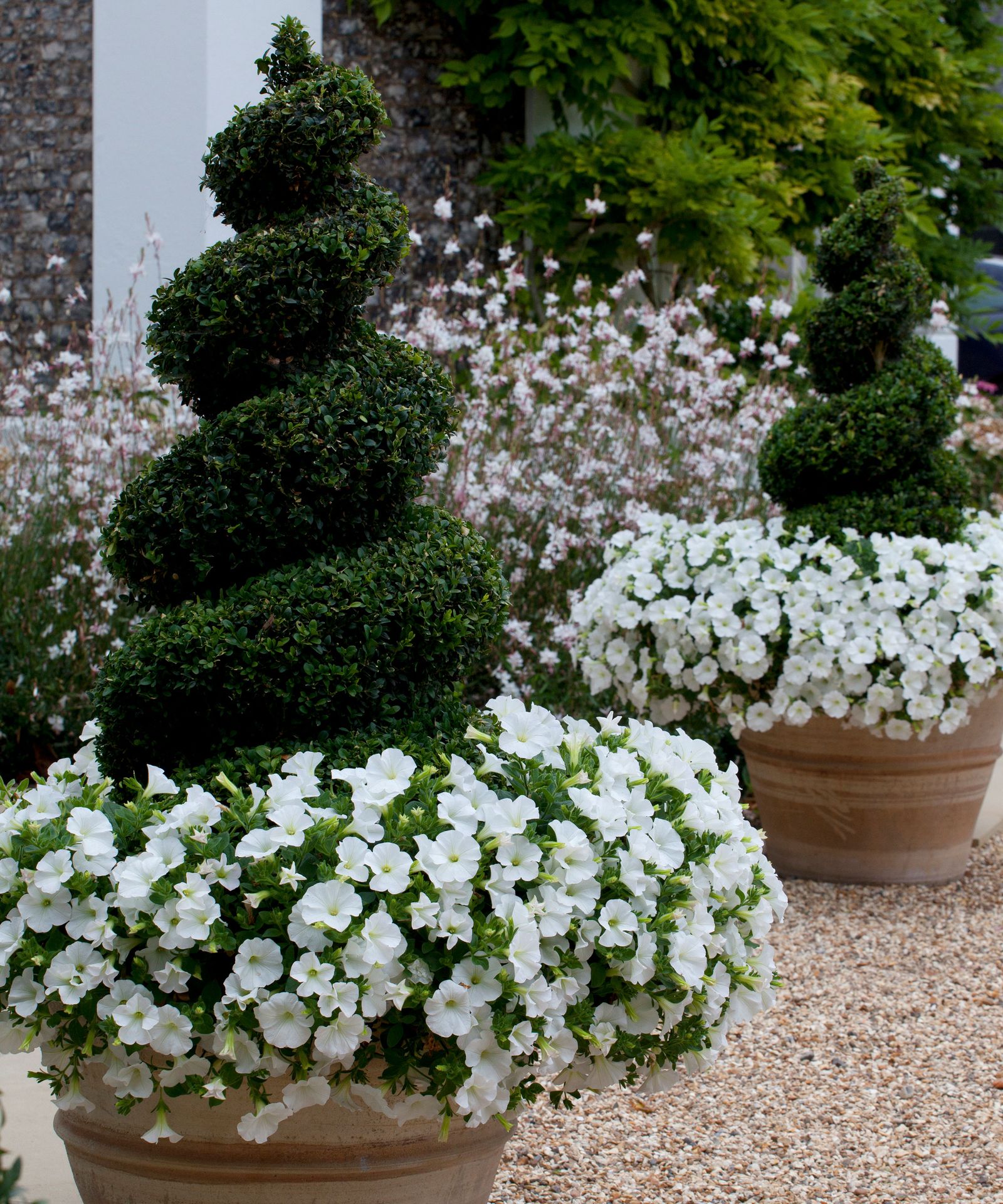 Topiary: 15 ways to use clipped evergreens in gardens | Homes and Gardens