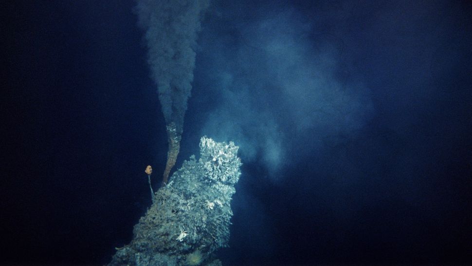 7 Theories on the Origin of Life | Live Science