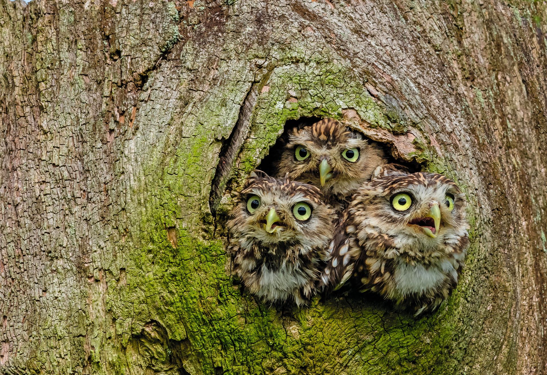 From the Box to the Yox — how did our rivers get their names? | Country ...