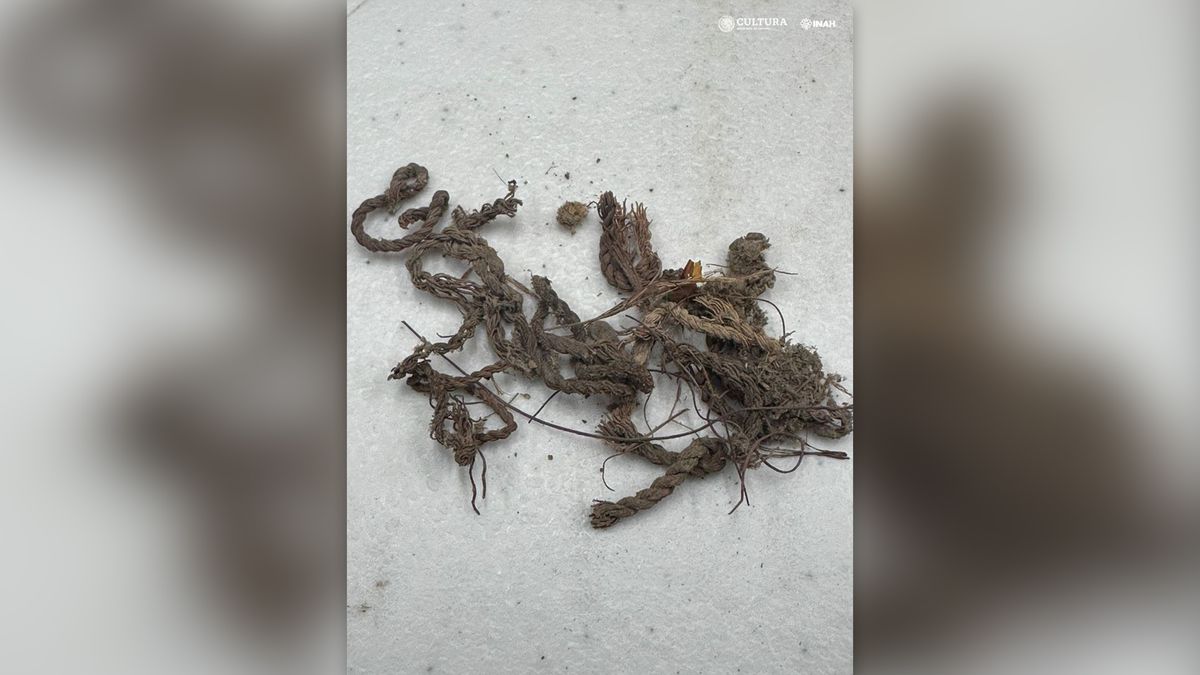 2,500-year-old burials of 3 people discovered in a cave in Mexico ...