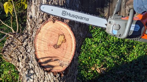 Best chainsaws: top picks for efficient cutting | Top Ten Reviews