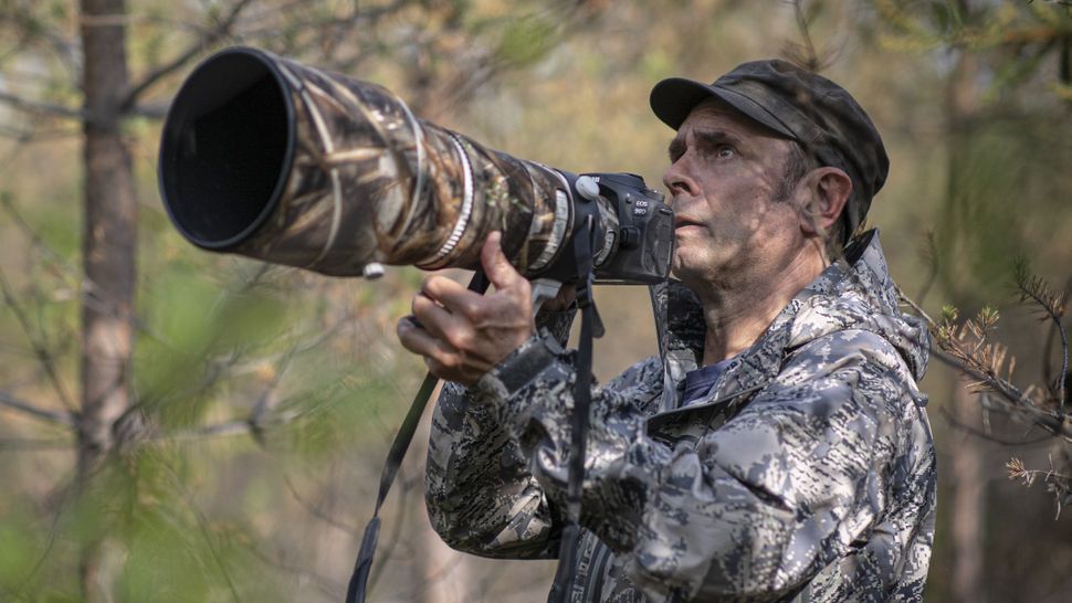 Best camera for wildlife photography in 2023 | Digital Camera World