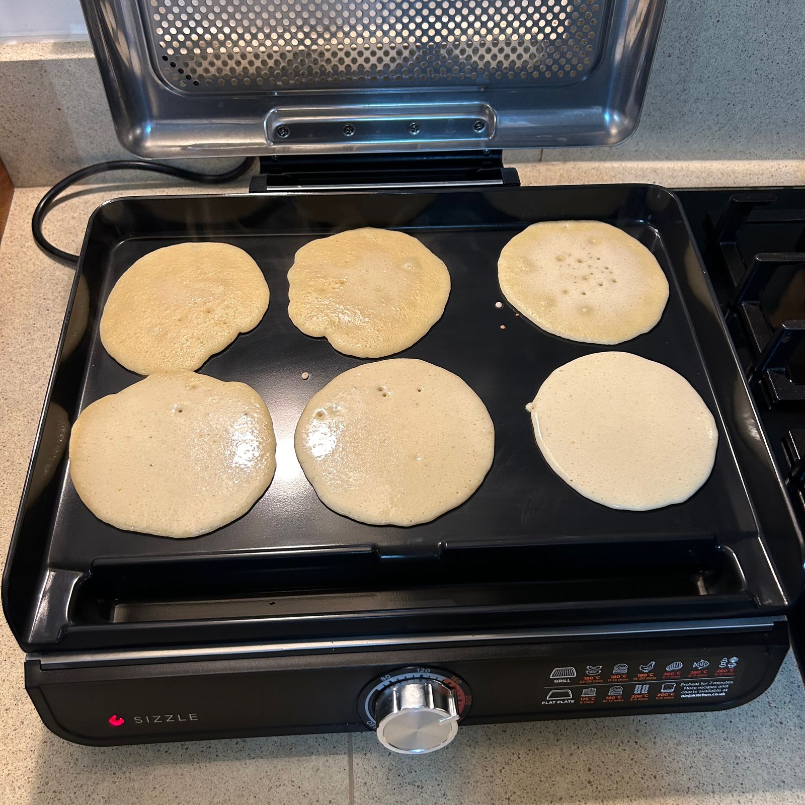 Ninja Sizzle Indoor Grill & Flat Plate Review: Will Ninja’s indoor ...