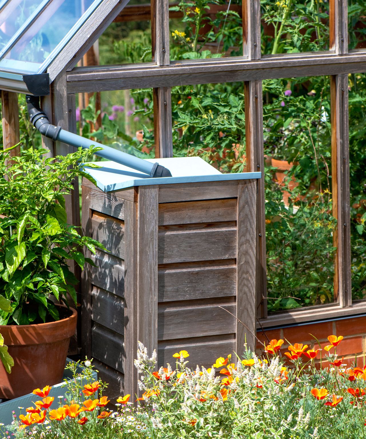 How to collect rainwater: 5 ways to save and re-use rainfall | Gardeningetc