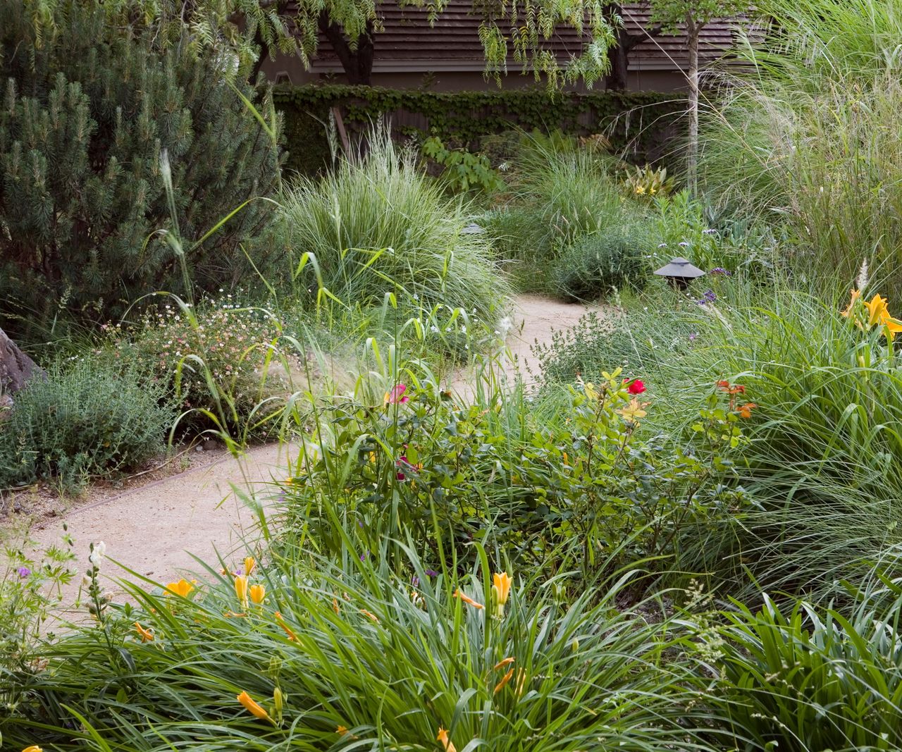 What is native planting? A vital gardening trend explained | Homes and ...