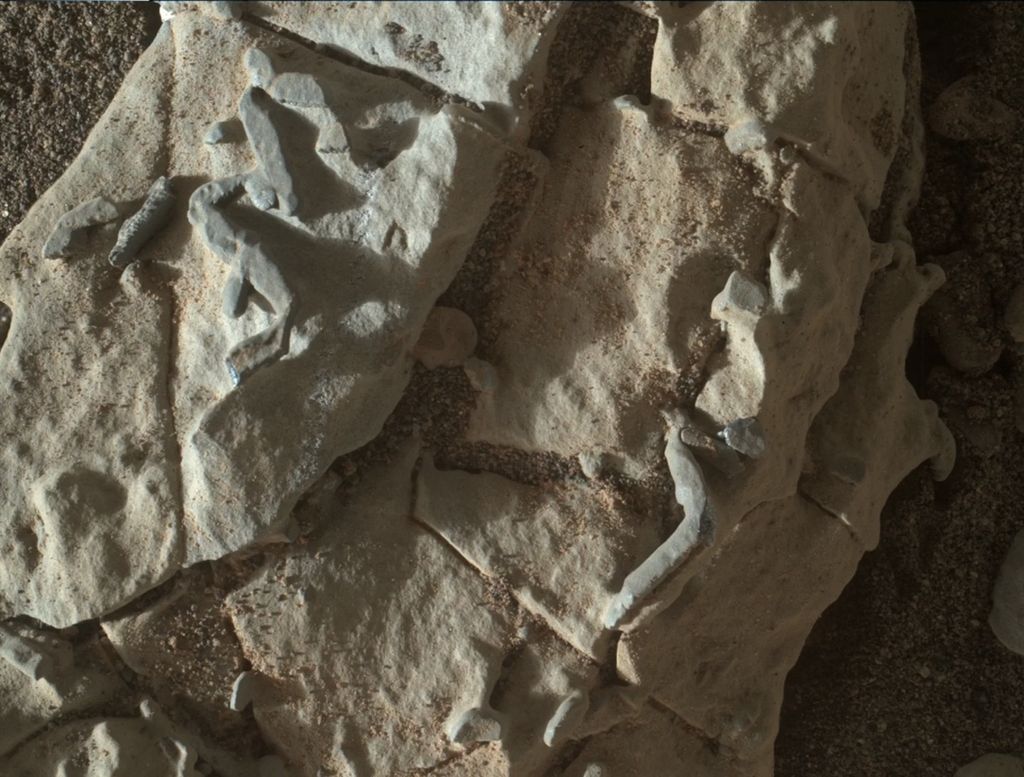 Curiosity Rover Spots Weird Tube-Like Structures on Mars | Live Science