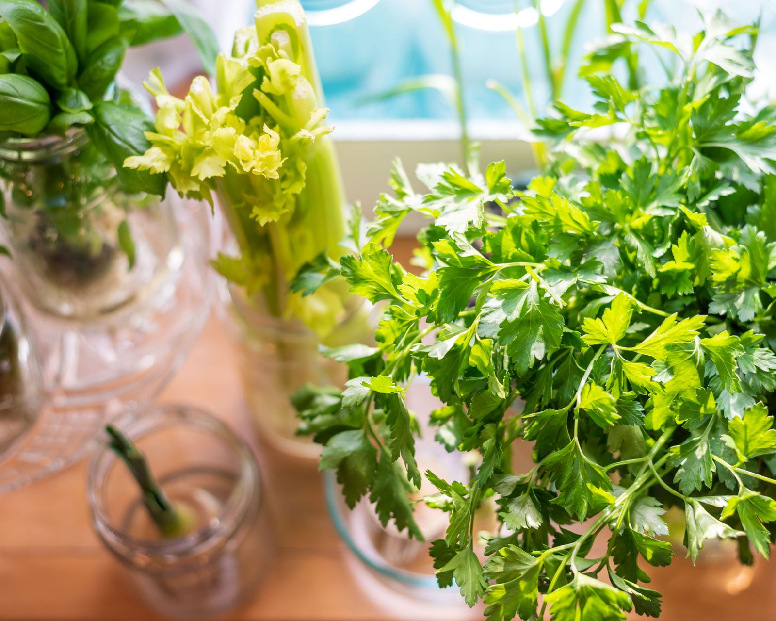 How to grow celery: indoors or outside for a bumper crop | Homes and ...
