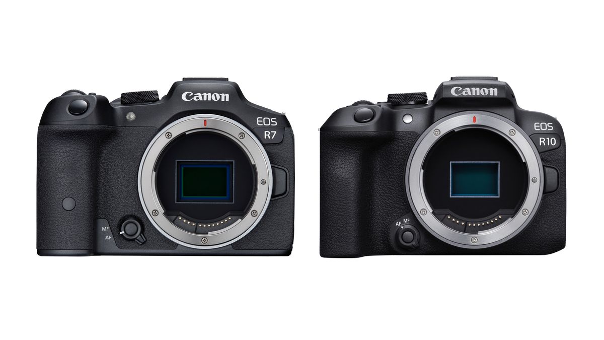 Canon in 2022: how the camera giant made huge waves in the mirrorless ...