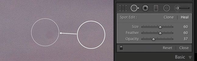 Lightroom series part 12: Remove unsightly spots from your photographs ...