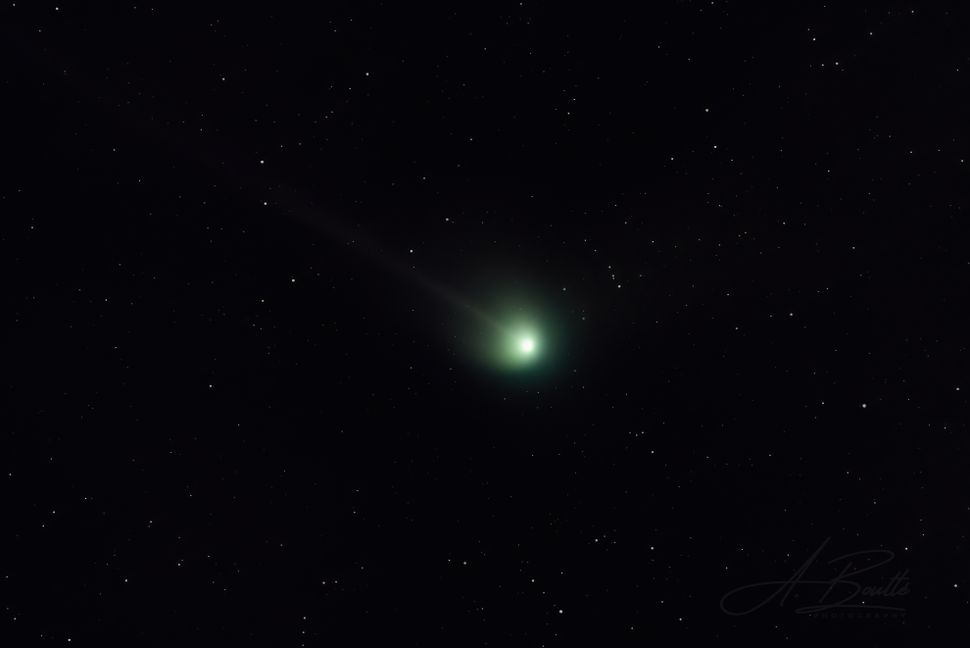Watch green comet near Mars today with free telescope livestream | Space