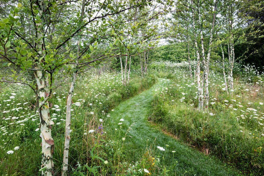 Tree landscaping ideas for planting a beautiful space | Livingetc