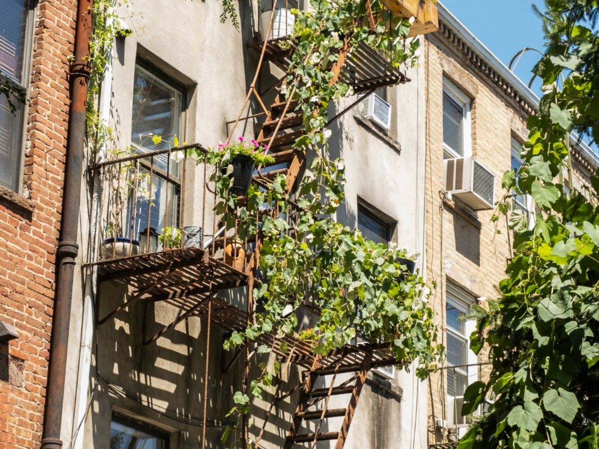 Tips For Gardening On A Fire Escape - What Are The Best Plants To Grow ...