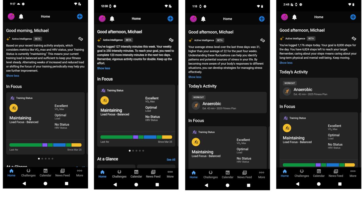 Garmin Connect Plus in-depth hands-on: Much more than an AI ...