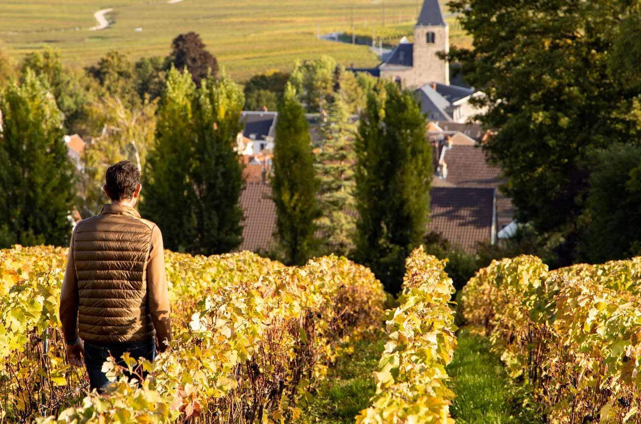 Discovering artisan Champagnes and boutique bubbles | Decanter