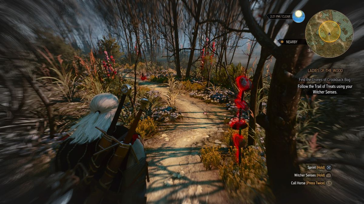 The Witcher 3 Ladies of the Wood quest and how to find the Crones of ...