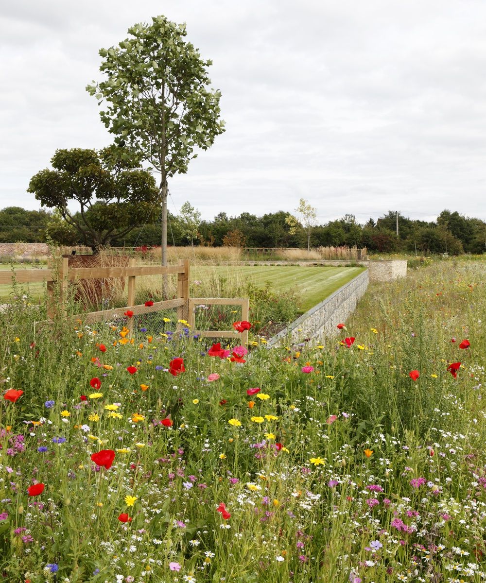 How to design a restorative garden to lift your spirits | Homes and Gardens