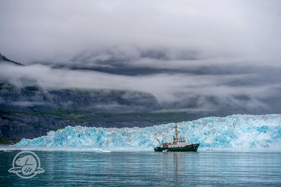 In Photos: Artifacts Recovered from the 2018 Exploration of HMS Erebus ...