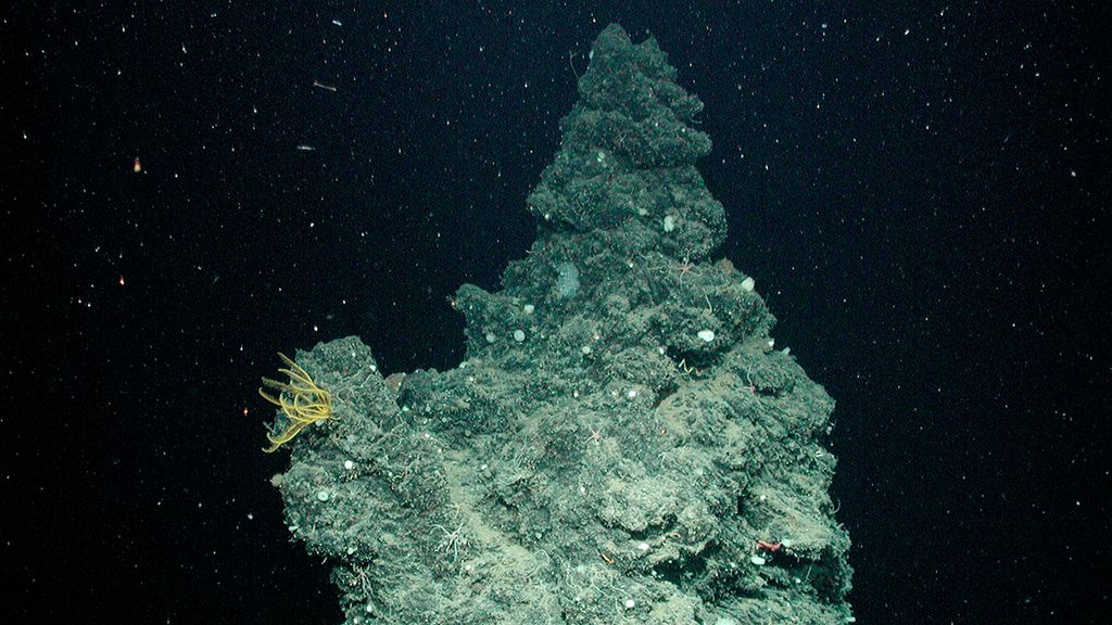 Hundreds of towering hydrothermal chimneys discovered on seafloor off ...