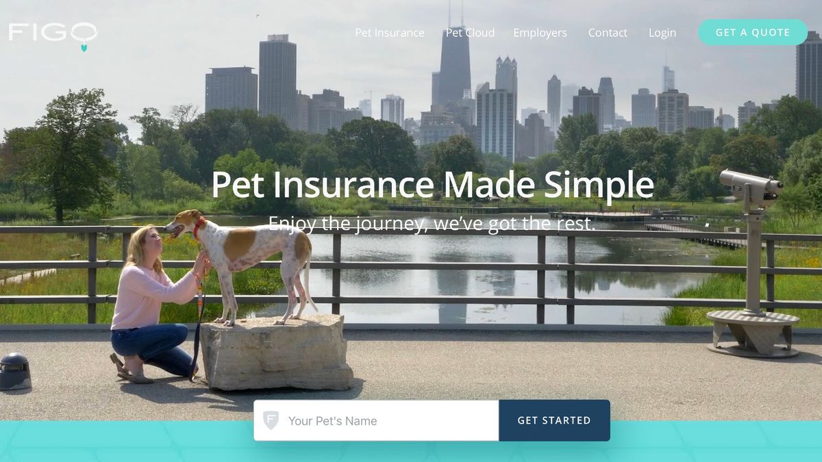 Best pet insurance: Essential cover to put your mind at ease | PetsRadar
