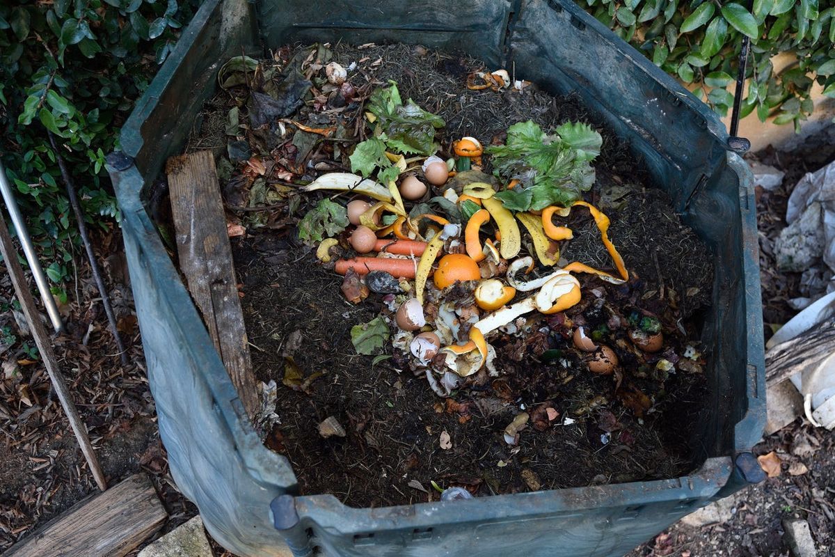 Learn About Composting Liquids – Is Adding Liquids To Compost Bins Safe ...