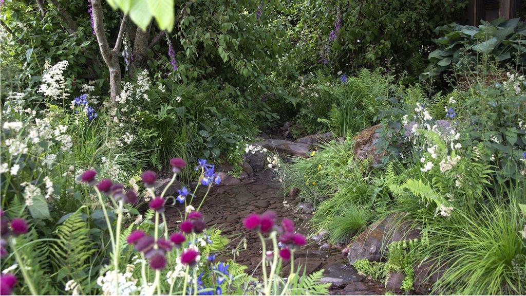 How to get rid of ivy on a fence: 3 simple steps | Homes and Gardens