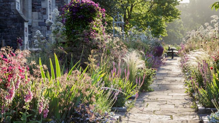 How to deadhead phlox: top tips from flower experts | Homes and Gardens