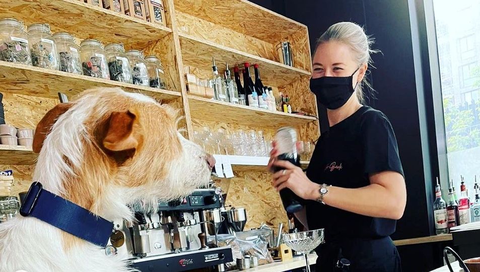 Dog cocktail bar in London serves up puptails for dogs | PetsRadar